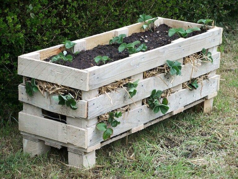 40 DIY Strawberry Planter Ideas for Container Planting: Grow Your Own ...